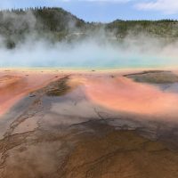 Fixing Food Deserts, One Grocery Store at a Time – Anne Kim